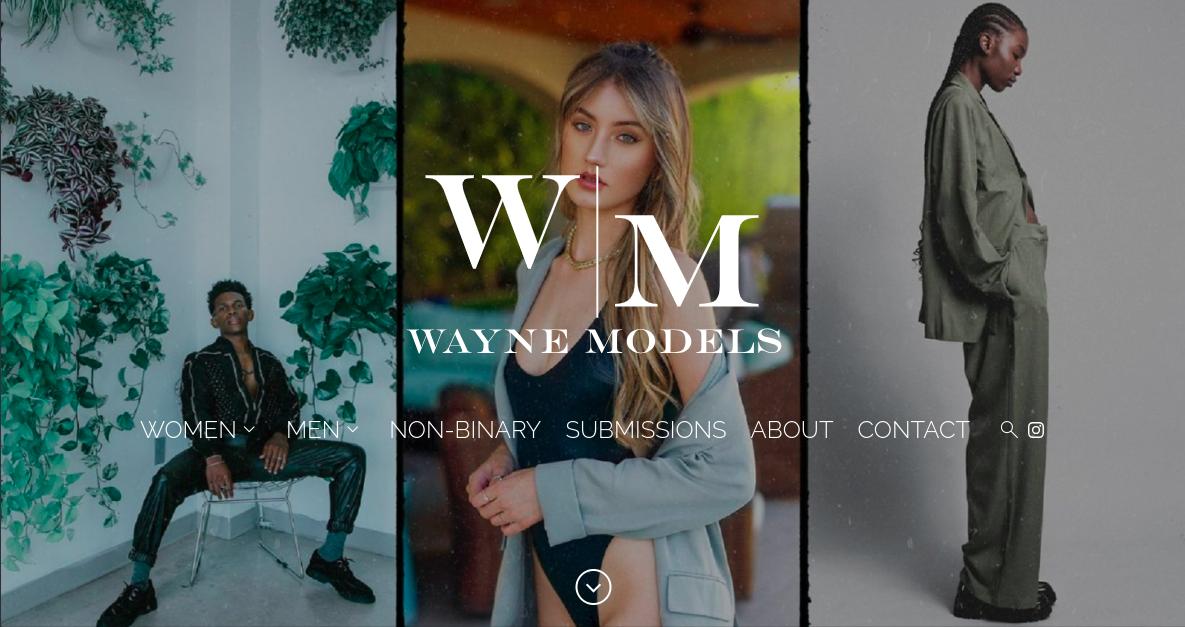 All in New Faces - Wayne Models